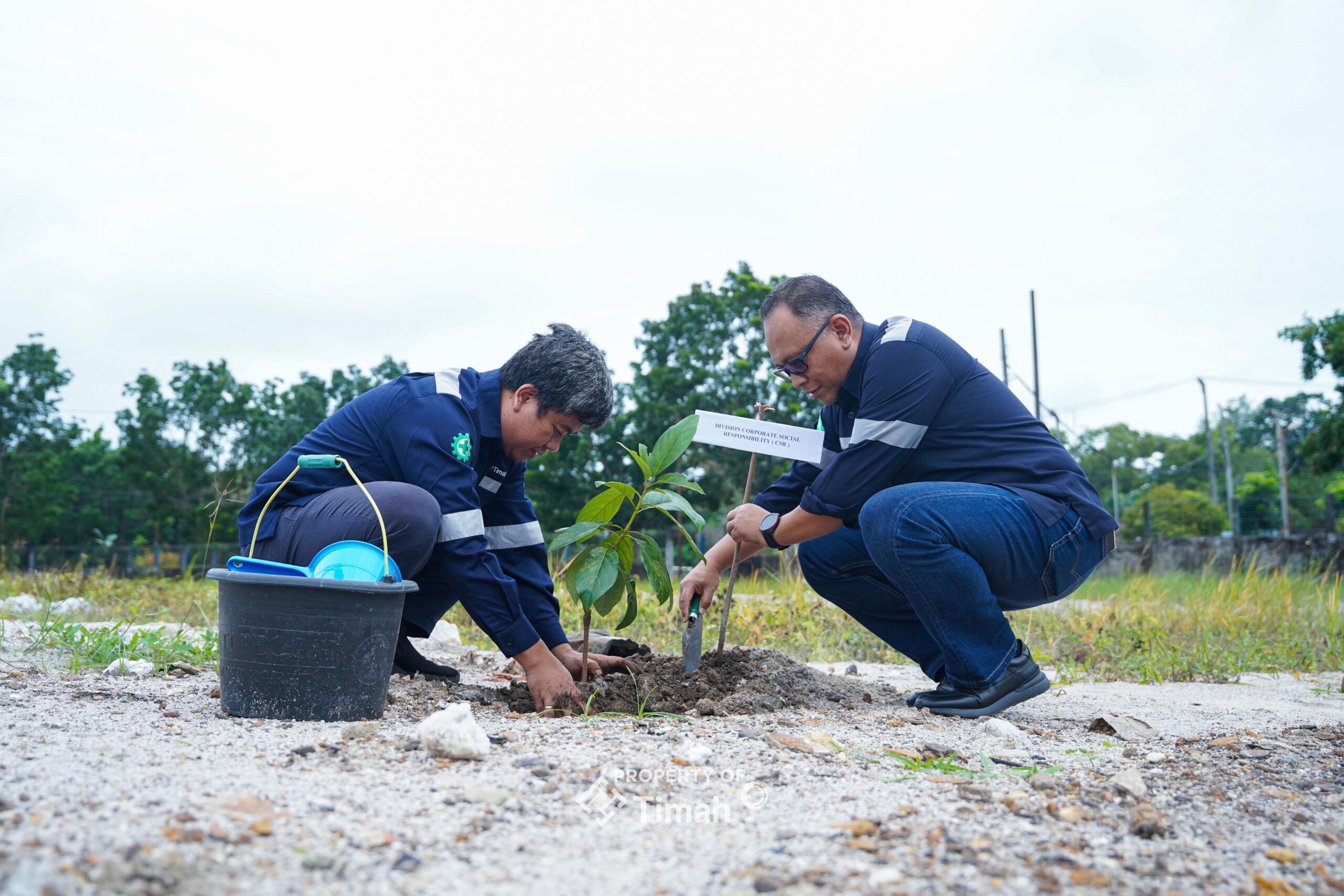 Kolaborasi dengan Pemerintah, PT Timah Tanam 500 Pohon Buah Dalam ...