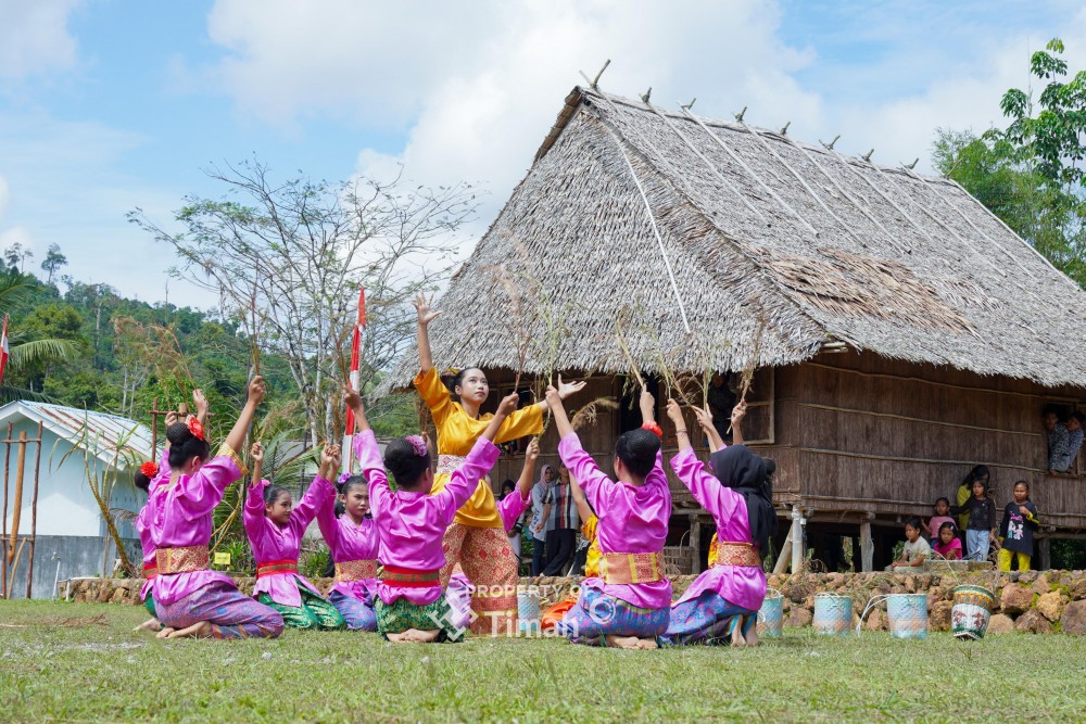 PT Timah Dukung Tradisi Nuju Jerami, Komitmen Lestarikan Budaya Adat ...