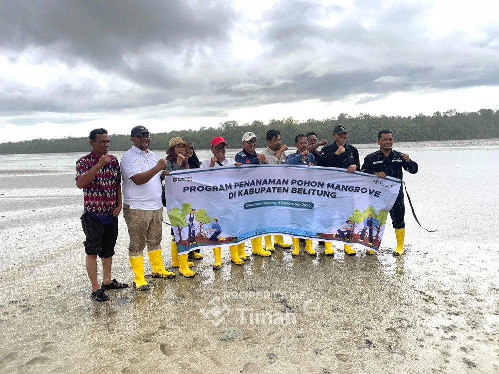 PT TIMAH Tbk Tanam Mangrove di Dusun Dudat untuk Perkuat Ekosistem ...